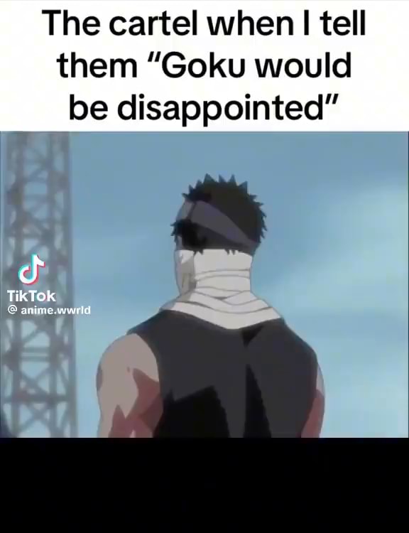 The cartel when I tell them "Goku would be disappointed" TikTOK anime ...