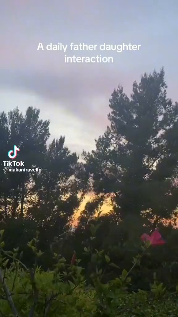 A daily father daughter interaction TikTok maxaniravetlo - iFunny