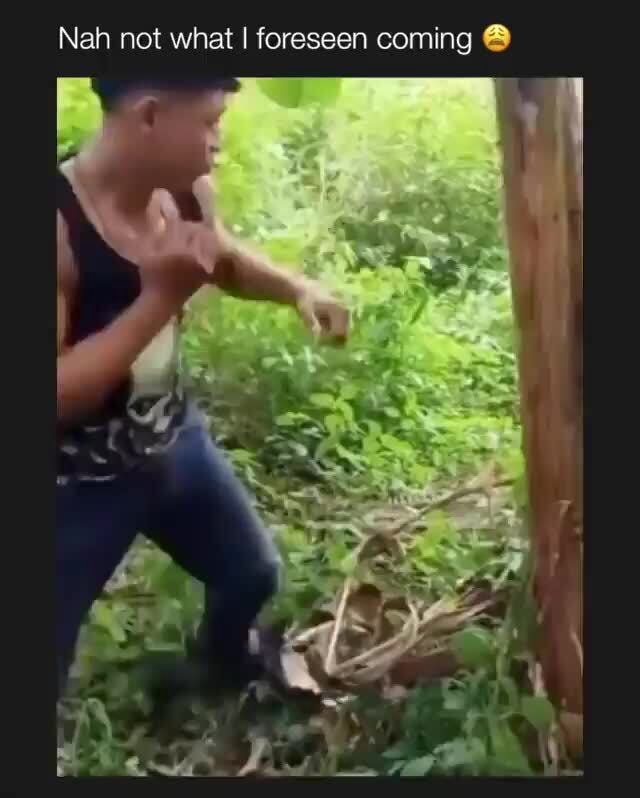 Nah not what I foreseen coming - iFunny