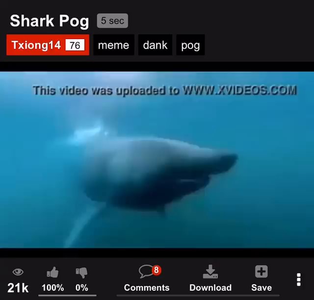 Shark Pog Txiongi4 meme dank pog his video was up ed to COM 100% 0% ...