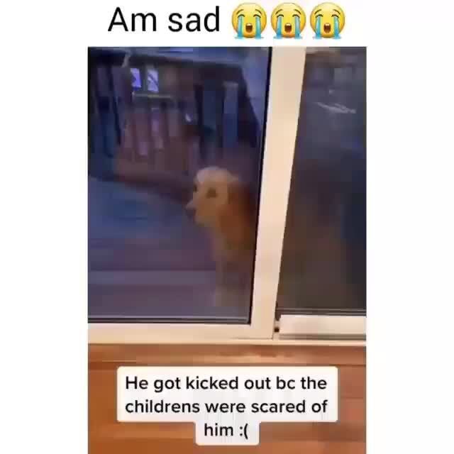 Dogs | Puppies | Memes on Instagram: “hould the kick the kids instead ...