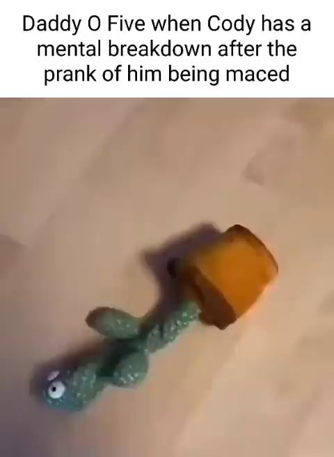 Daddy Five when Cody has a mental breakdown after the prank of him ...