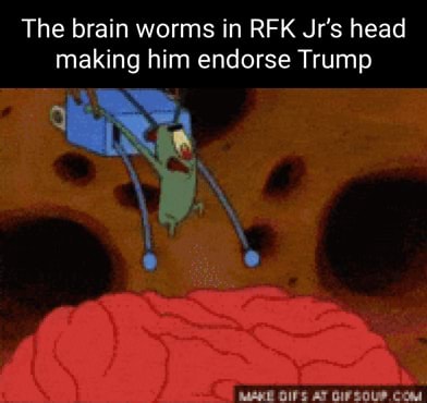 The brain worms in RFK Jr's head making him endorse Trump - iFunny