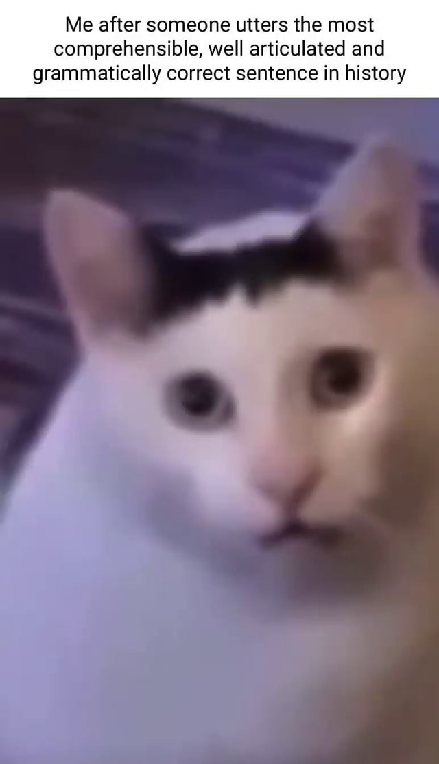 Me after someone utters the most comprehensible, well articulated and ...