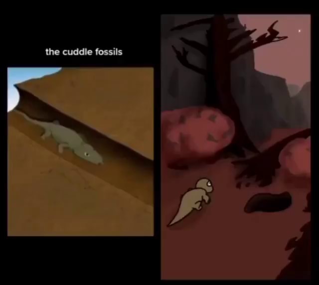 3. - the cuddle fossils - iFunny