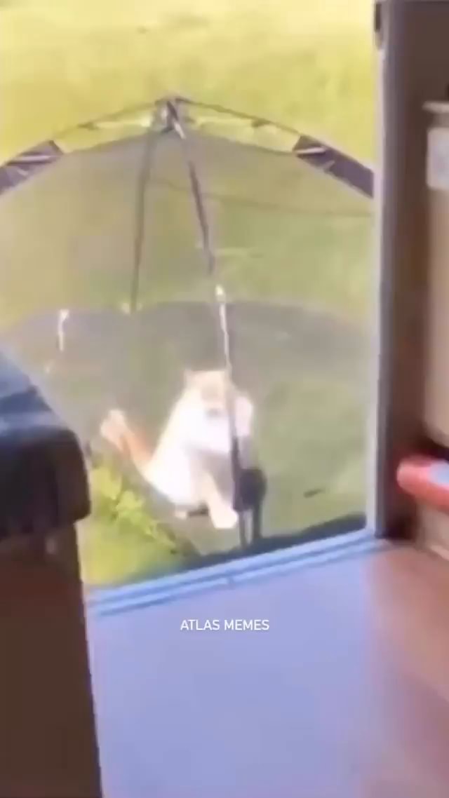 ATLAS MEMES - iFunny