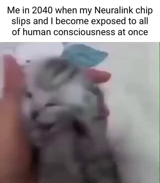 Me in 2040 when my Neuralink chip slips and I become exposed to all of ...