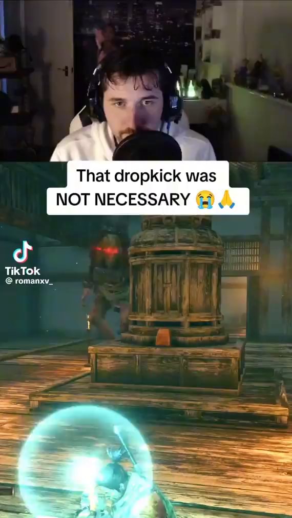 Aa That dropkick was NOT NECESSARY @ A TikTok - iFunny