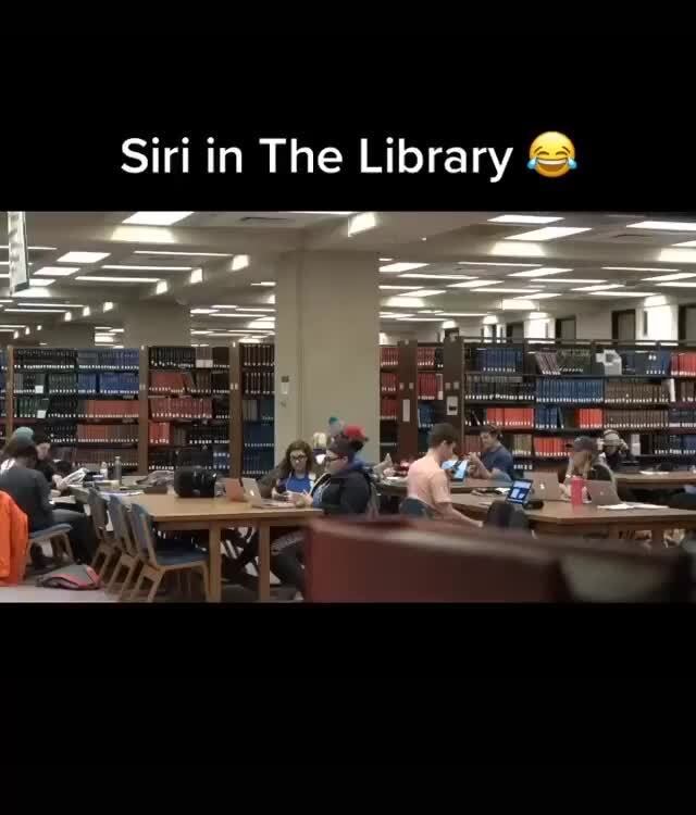 Siri in the library - Siri in The Library A - iFunny