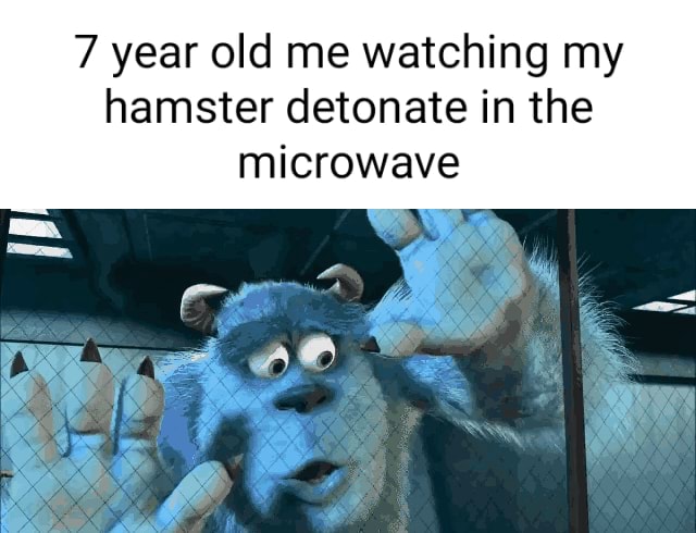 7 year old me watching my hamster detonate in the microwave - iFunny
