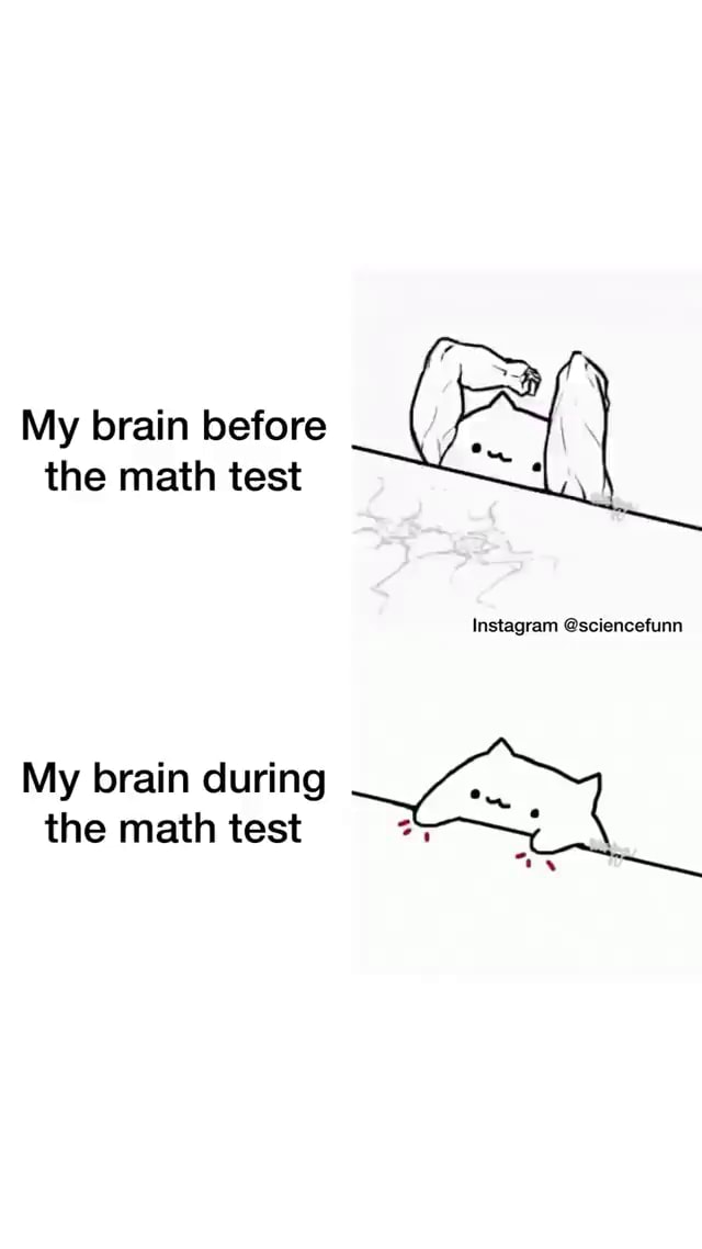My brain before the math test Instagram @sciencefunn My brain during ...