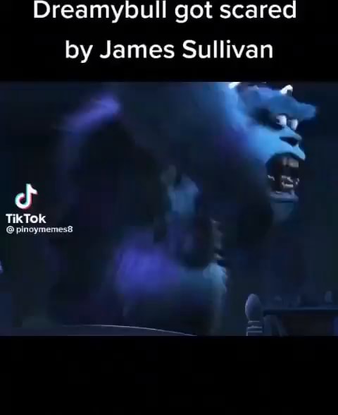 Dreamybuil got scared by James Sullivan TikTok pinoymemes8 - iFunny