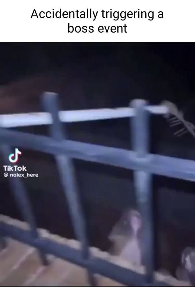Accidentally triggering a boss event TikTok nolex_here - iFunny