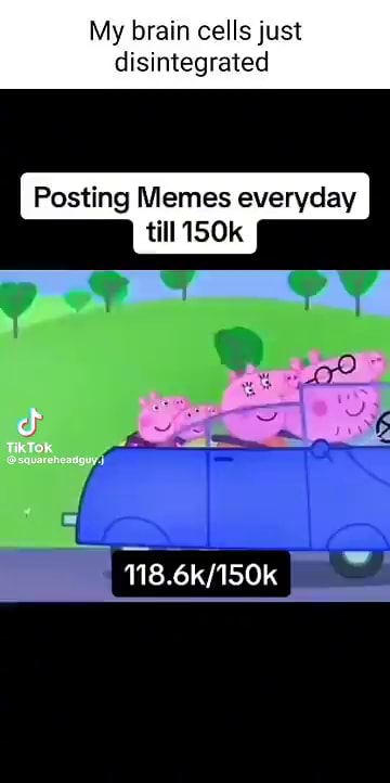 My brain cells just disintegrated Posting Memes everyday till 150k - iFunny