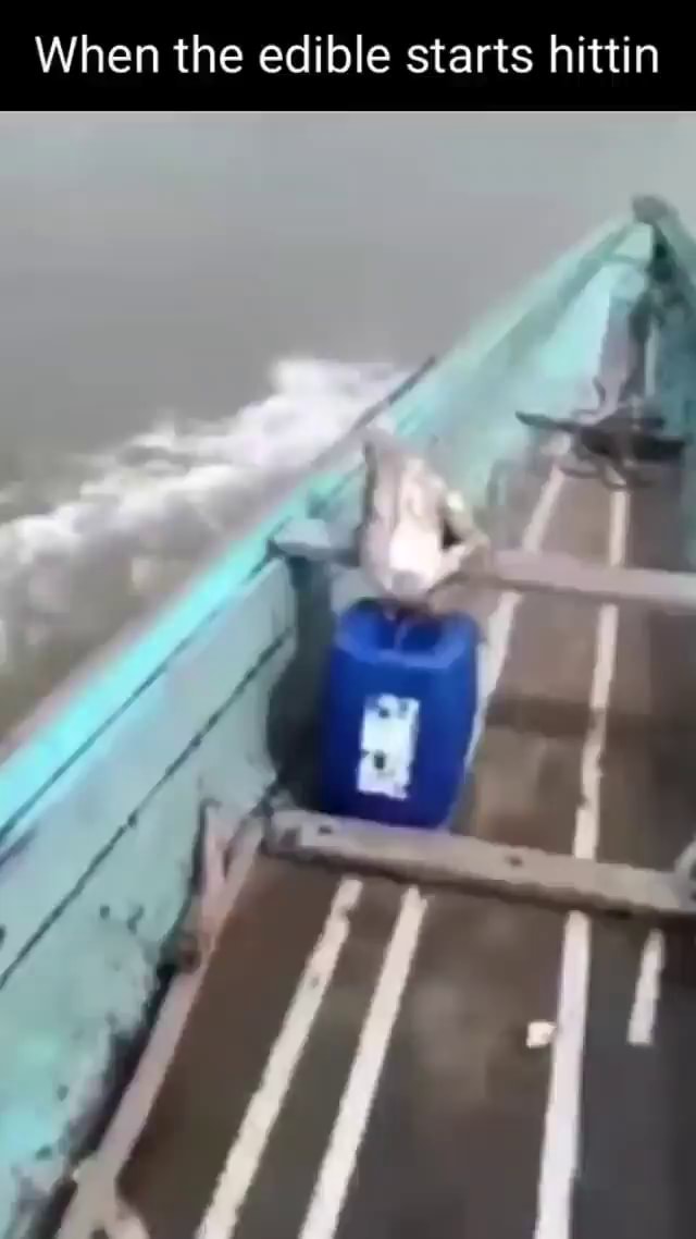 When the edible starts hittin le - iFunny