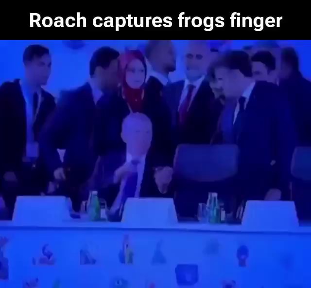 Roach captures frogs finger - iFunny