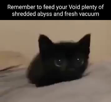 Remember to feed your Void plenty of shredded abyss and fresh vacuum ...