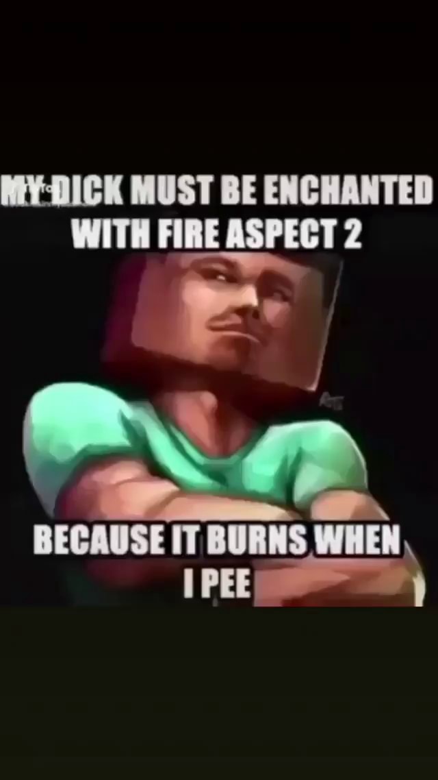 MYDICK MUST BE ENCHANTED WITH FIRE ASPECT 2 BECAUSE WHEN, iP - iFunny