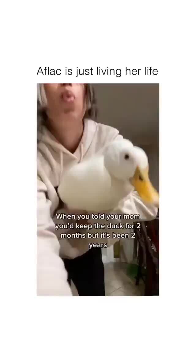 Aflac is just living her life When you told your mom: you'd keep the ...