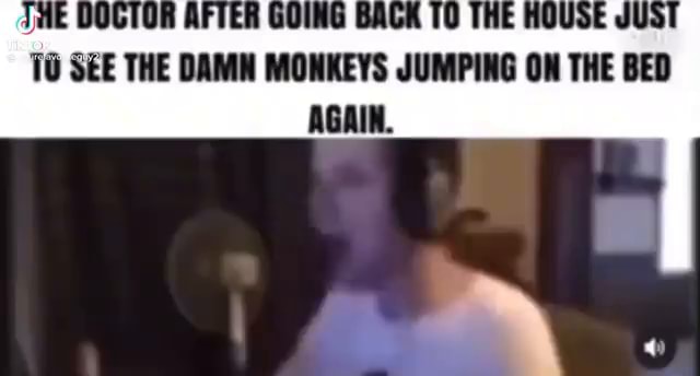 TO SEE THE DAMN MONKEYS JUMPING ON THE BED - iFunny