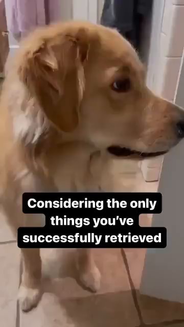 Considering the only things you've successfully retrieved - iFunny