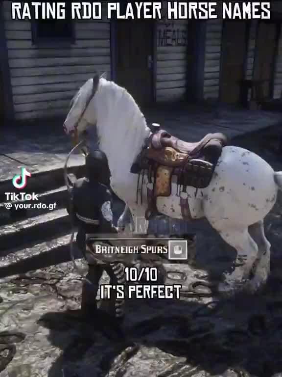 RATING RDO PLAYER HORSE NAMES TikTOK your .1de.g ITS PERFEST - iFunny