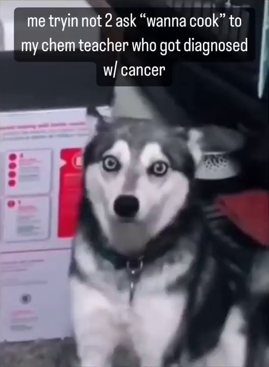 Me tryin not 2 ask "wanna cook" to my chem teacher who got diagnosed w ...