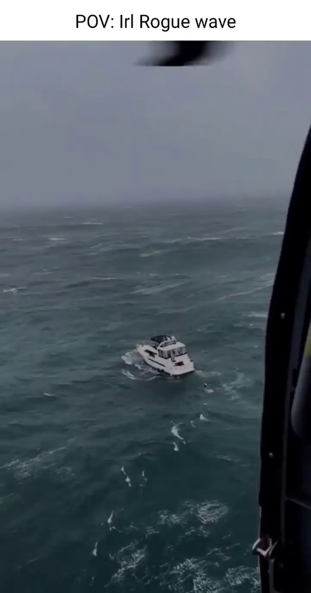 POV: Irl Rogue wave me - iFunny