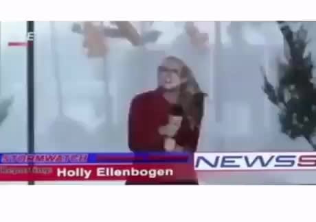 Holly Ellenbogen - iFunny