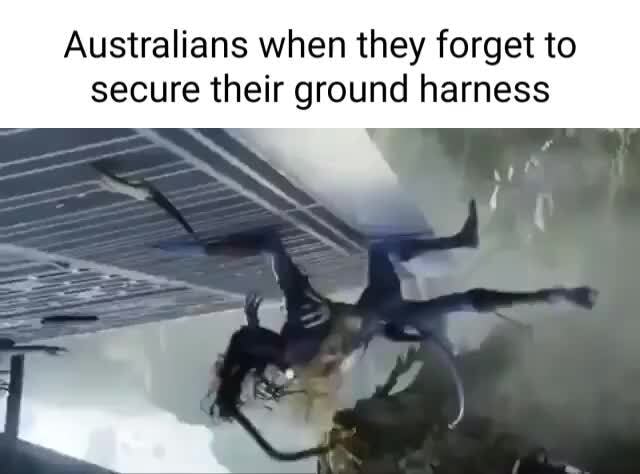 Australians when they forget to secure their ground harness - iFunny