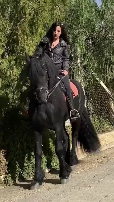 Jessica Tricoli - iFunny