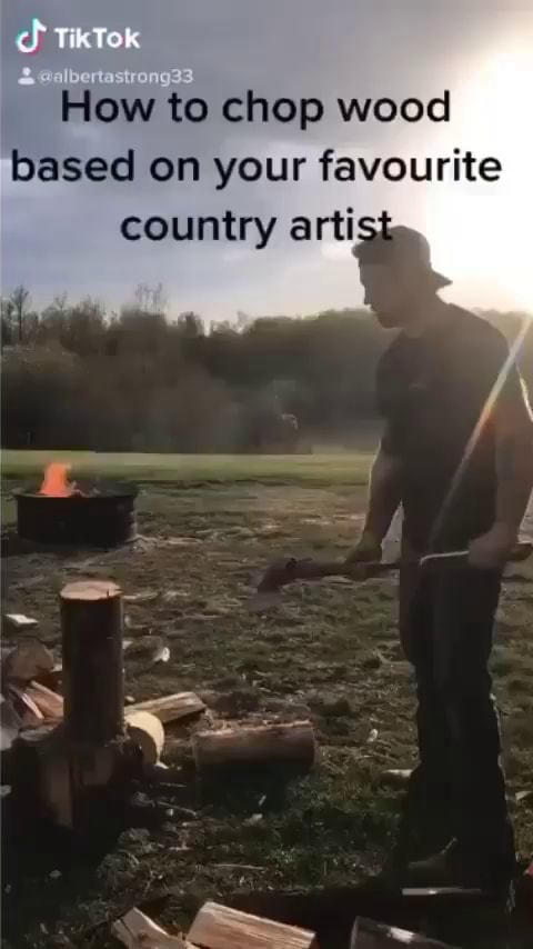 TikTok bbb How to chop wood based on your favourite country arti - iFunny
