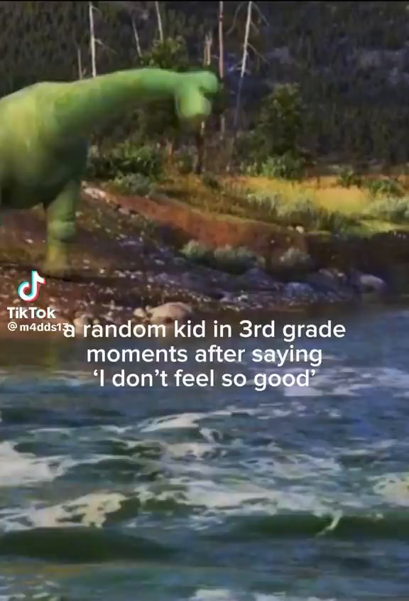 Tik Tok random kid in grade moments after saying 'I don't feel so good ...