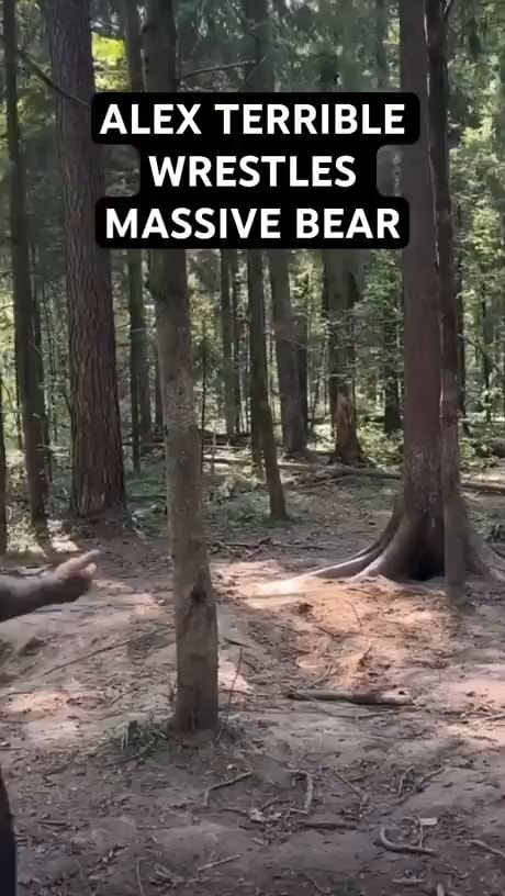 ALEX TERRIBLE WRESTLES MASSIVE BEAR - America’s best pics and videos