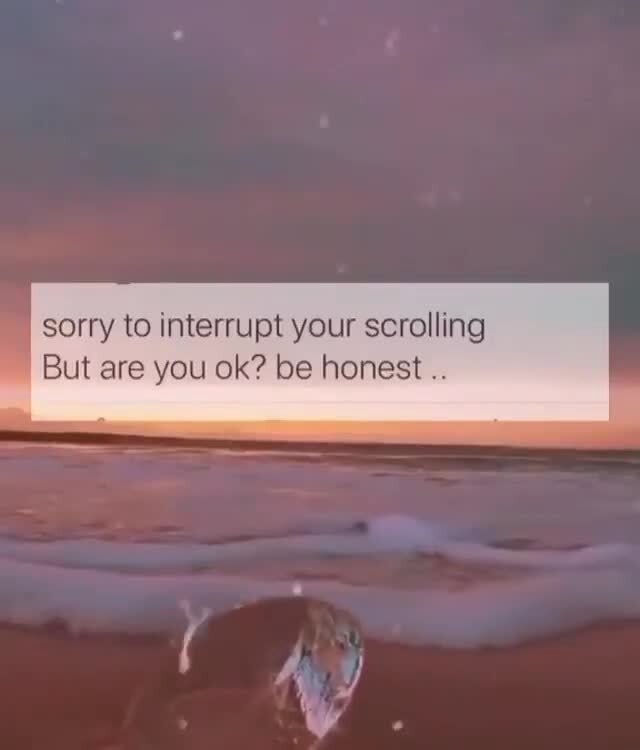 Sorry to interrupt your scrolling But are you ok? be honest - iFunny