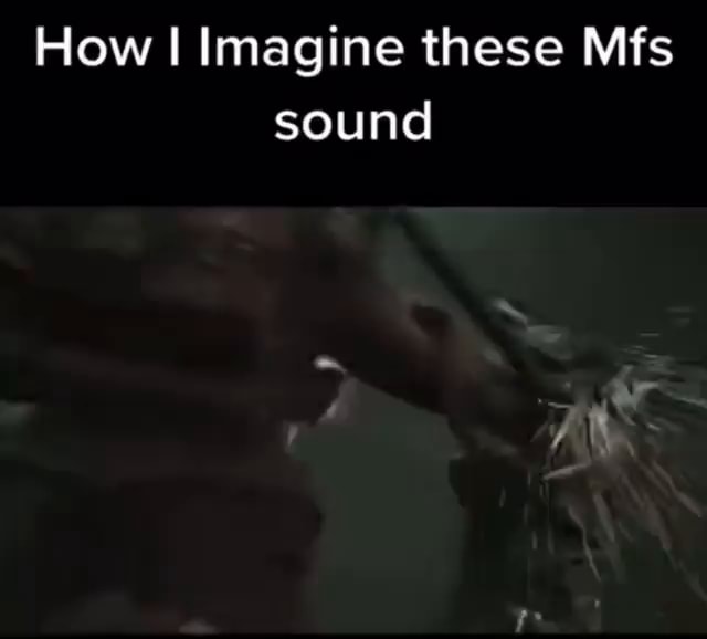 How I Imagine these Mfs sound - iFunny