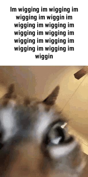 Im wigging im wigging im wigging im wiggin im wigging im wigging im ...