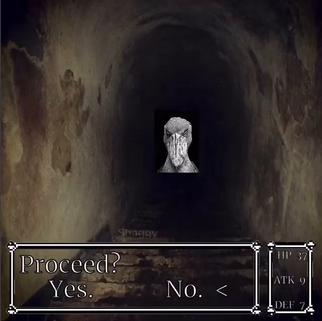 Proceed? Yes. No. - iFunny