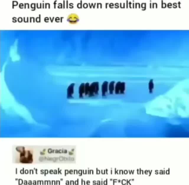 Penguin falls down resulting in best sound ever & of Oracia I don't ...