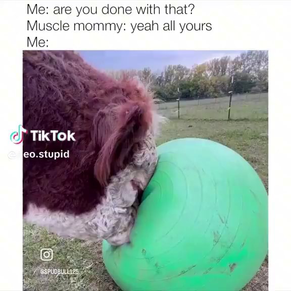 Me: are you done with that? Muscle mommy: yeah all yours Me: TikTok leo ...