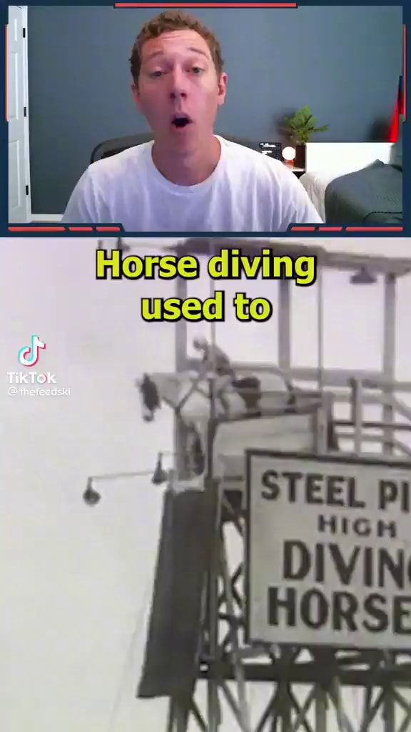 Diving~ I N \ AS - iFunny