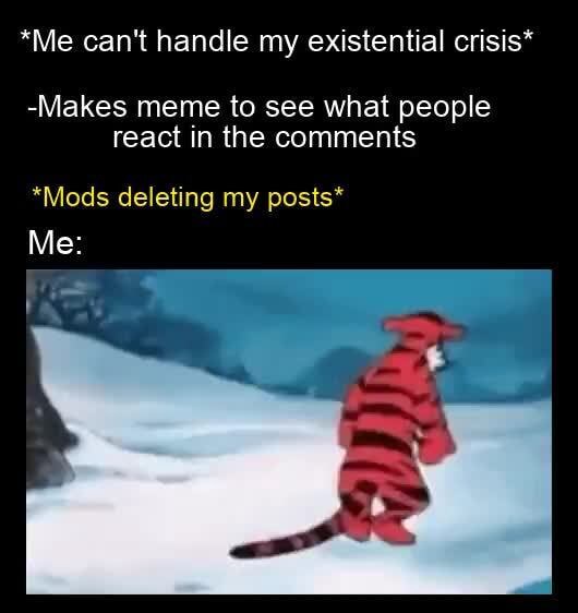 *Me can't handle my existential crisis* -Makes meme to see what people ...