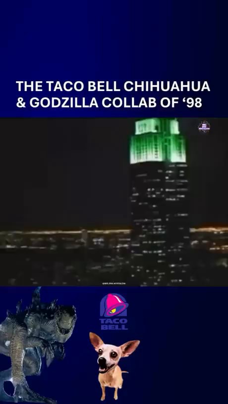 THE TACO BELL CHIHUAHUA & GODZILLA COLLAB OF '98 - America’s best pics ...