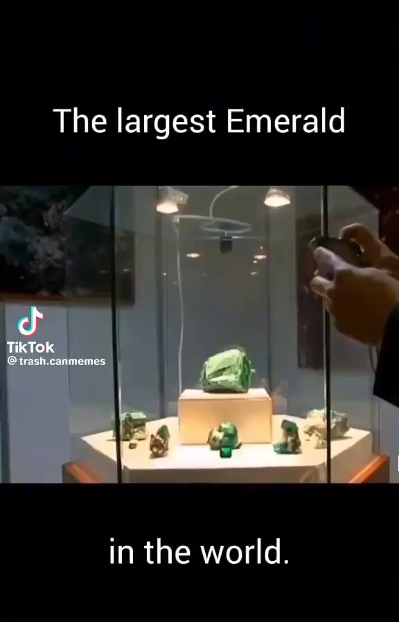 The largest Emerald TikTok trash.canmemes in the world. - iFunny