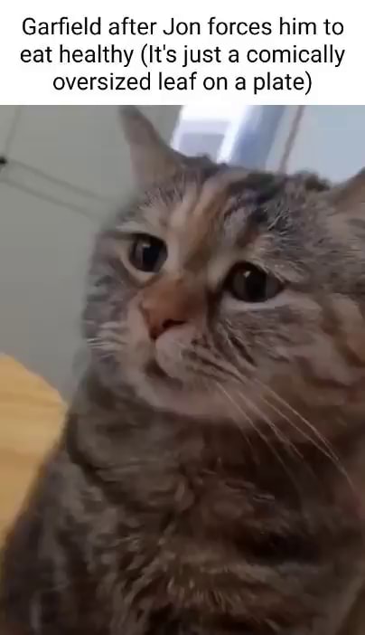 Garfield after Jon forces him to eat healthy (It's just a comically ...