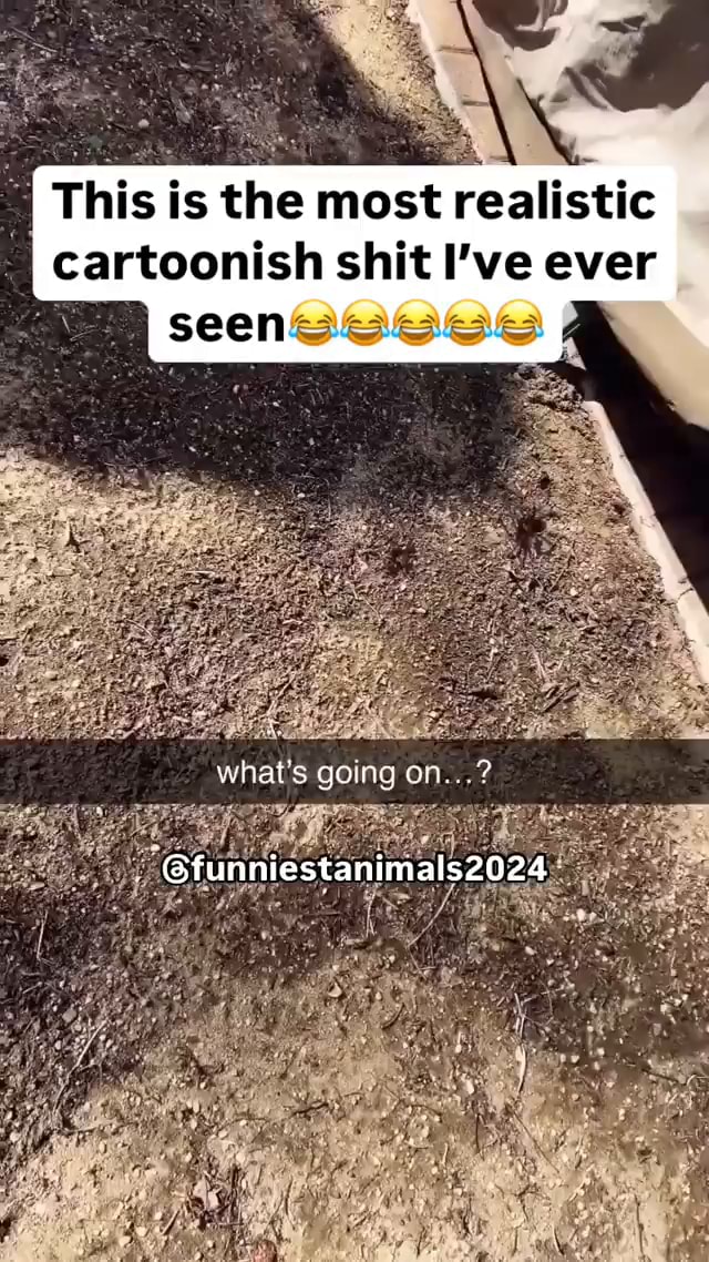 This is the most realistic fish shit I've ever what's going an ...