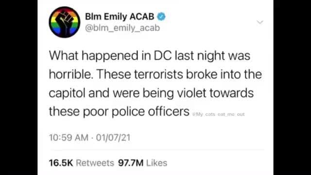 Emily ACAB What happened in DC last night was horrible. These ...