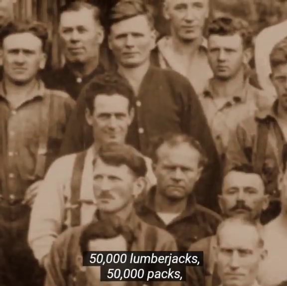 50,000 lumberjacks, 50,000 packs, - iFunny