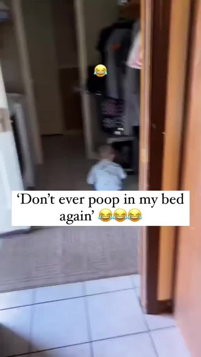'Don't ever poop in my bed again - iFunny