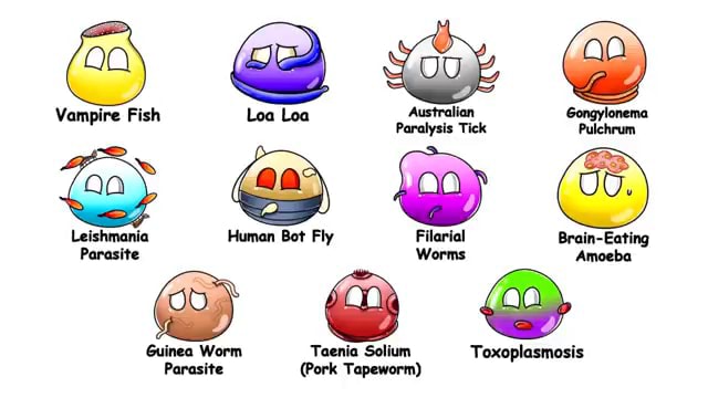 Vampire Fish Gongylonema Human Bot Fly Filaril Brain-Eating 'Amoeba ...